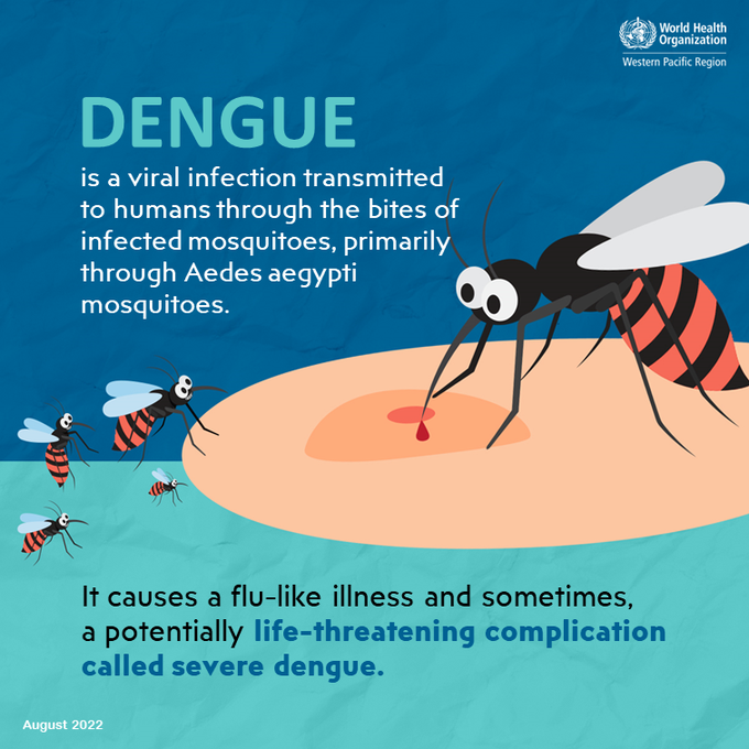 Outbreak of Dengue in Karachi: Climate Change creating perfect breeding ...