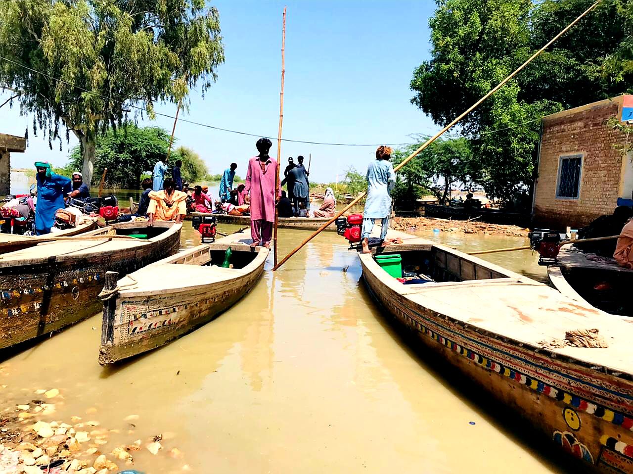 WHO Director-General's warns of wave of disease & deaths in Sindh ...