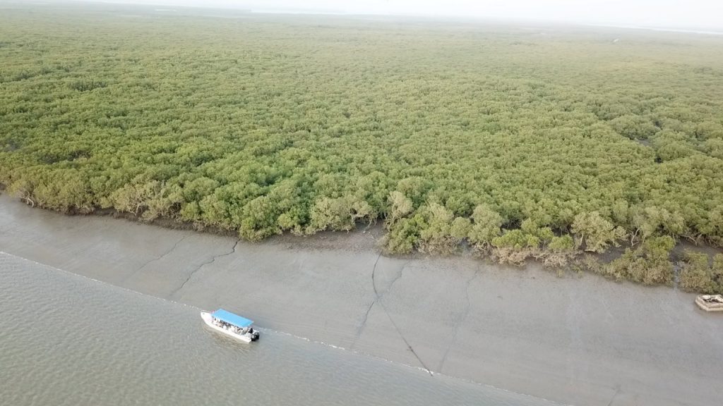 Potential Forests in Sindh Could Reduce the Floods, FAO reports suggest ...